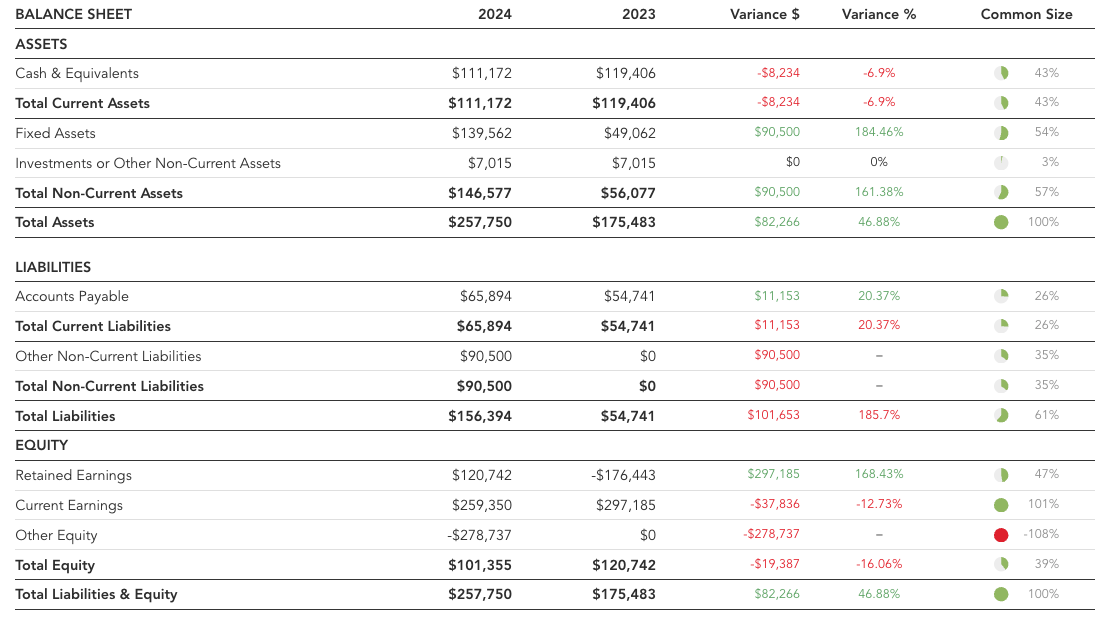 Case Study: Financial Reporting and Analysis For Agency Longevity